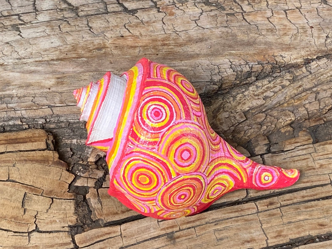 Seashell - Channel Whelk - Hand Painted - Sunshine - Pawleys Island ...