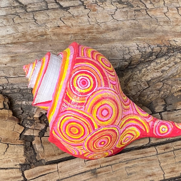 Painted Seashells - Etsy