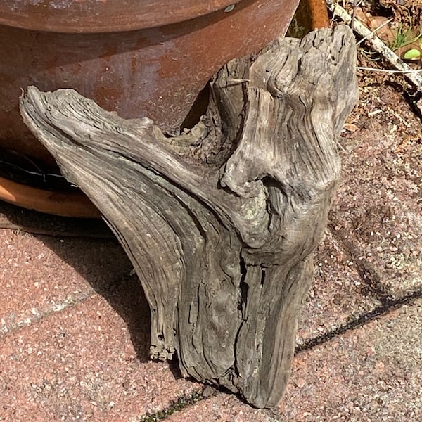 Beach Decor Driftwood - Etsy