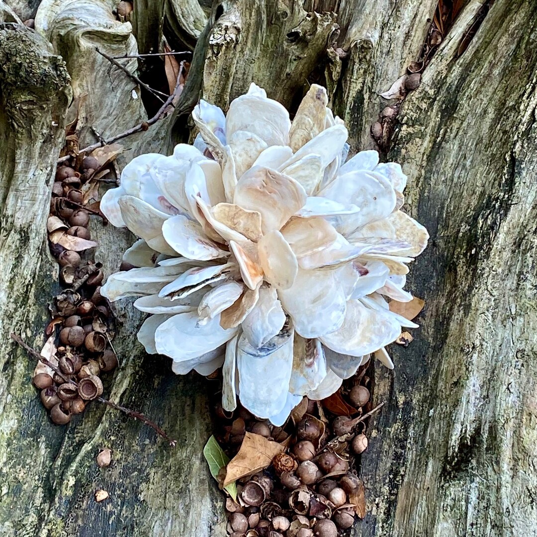 Oyster Shell Cluster Ball - South Carolina - Beach Decor - Pawleys Island - Coastal - Etsy