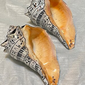 Hand Painted Seashell - Music - Musician Gift - Pawleys Island - Piano ...