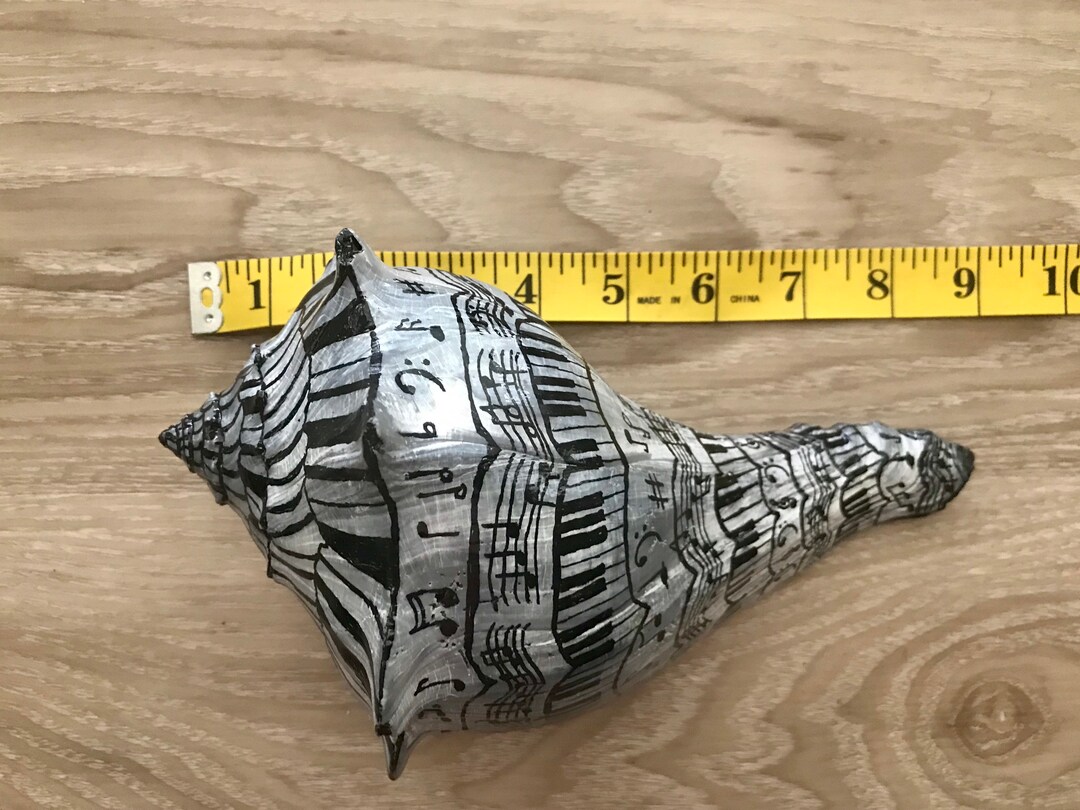 Hand Painted Seashell Music Musician Gift Pawleys Island - Etsy