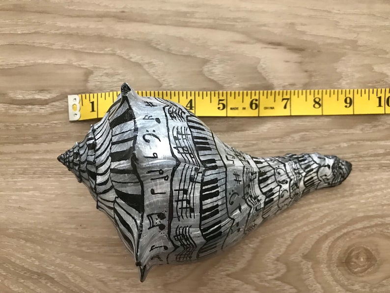 Hand Painted Seashell Music Musician Gift Pawleys Island - Etsy