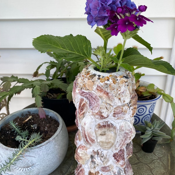 Shell Vase - Etsy