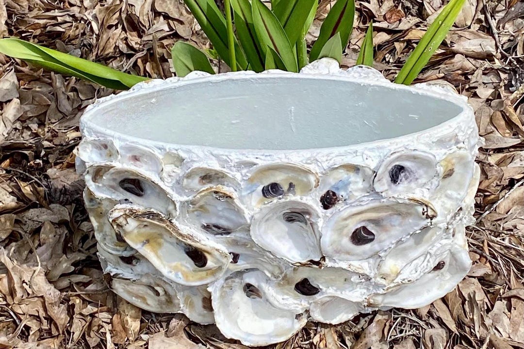 Oyster Shell Vase - Ceramic Vase - Oyster Shell Decor - Seashell ...