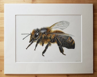 Native Bee Art - Etsy