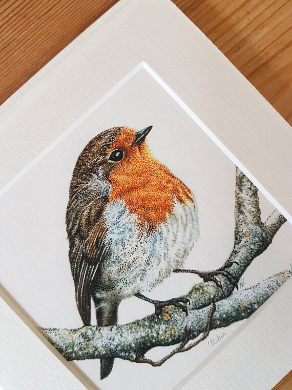 PRINT Robin hand signed Giclée print Cornish artist | Etsy