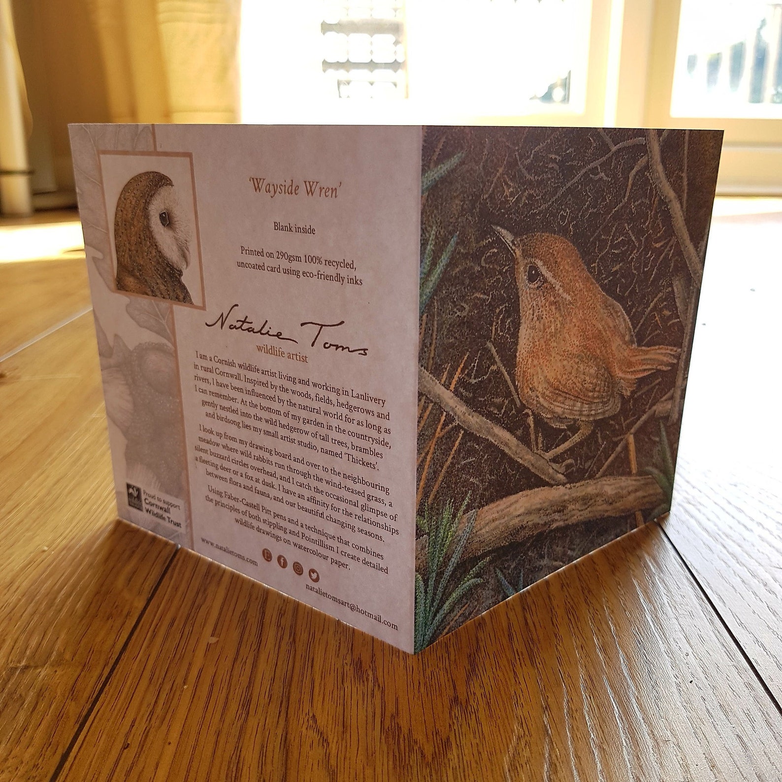 CARD Wayside Wren Cornish Artist Wildlife Art Bird Lover Nature Garden ...