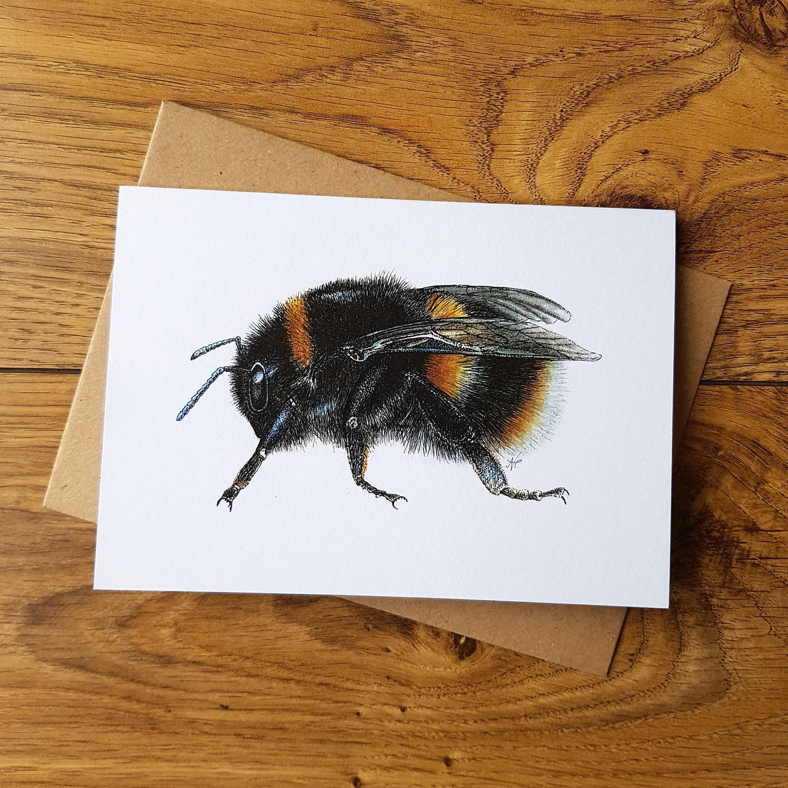 CARD Buff-tailed Bumblebee Native Bee Art Wildlife - Etsy