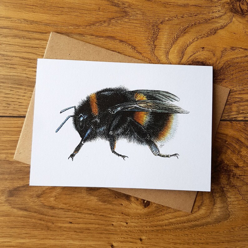 CARD Buff-tailed Bumblebee Native Bee Art Wildlife - Etsy