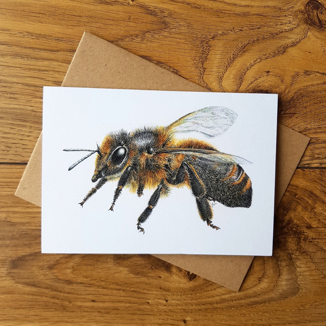 CARD Cornish Black Bee Honey Bee Wildlife Nature - Etsy