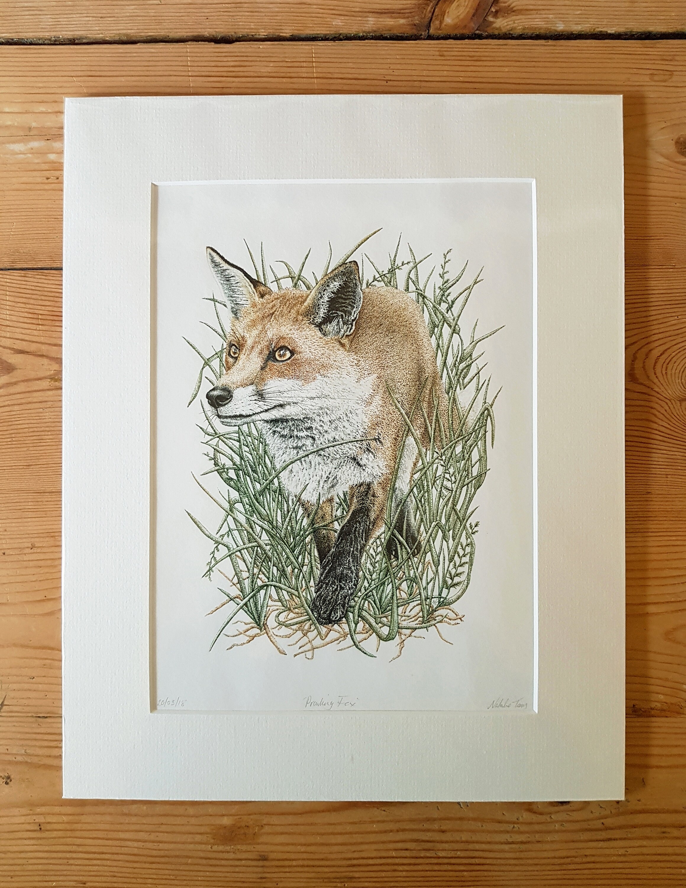 PRINT Prowling Fox Hand-signed Giclée Print Cornish - Etsy