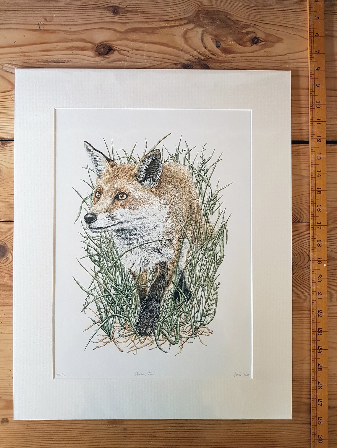 PRINT Prowling Fox Hand Signed Giclée Print Cornish - Etsy