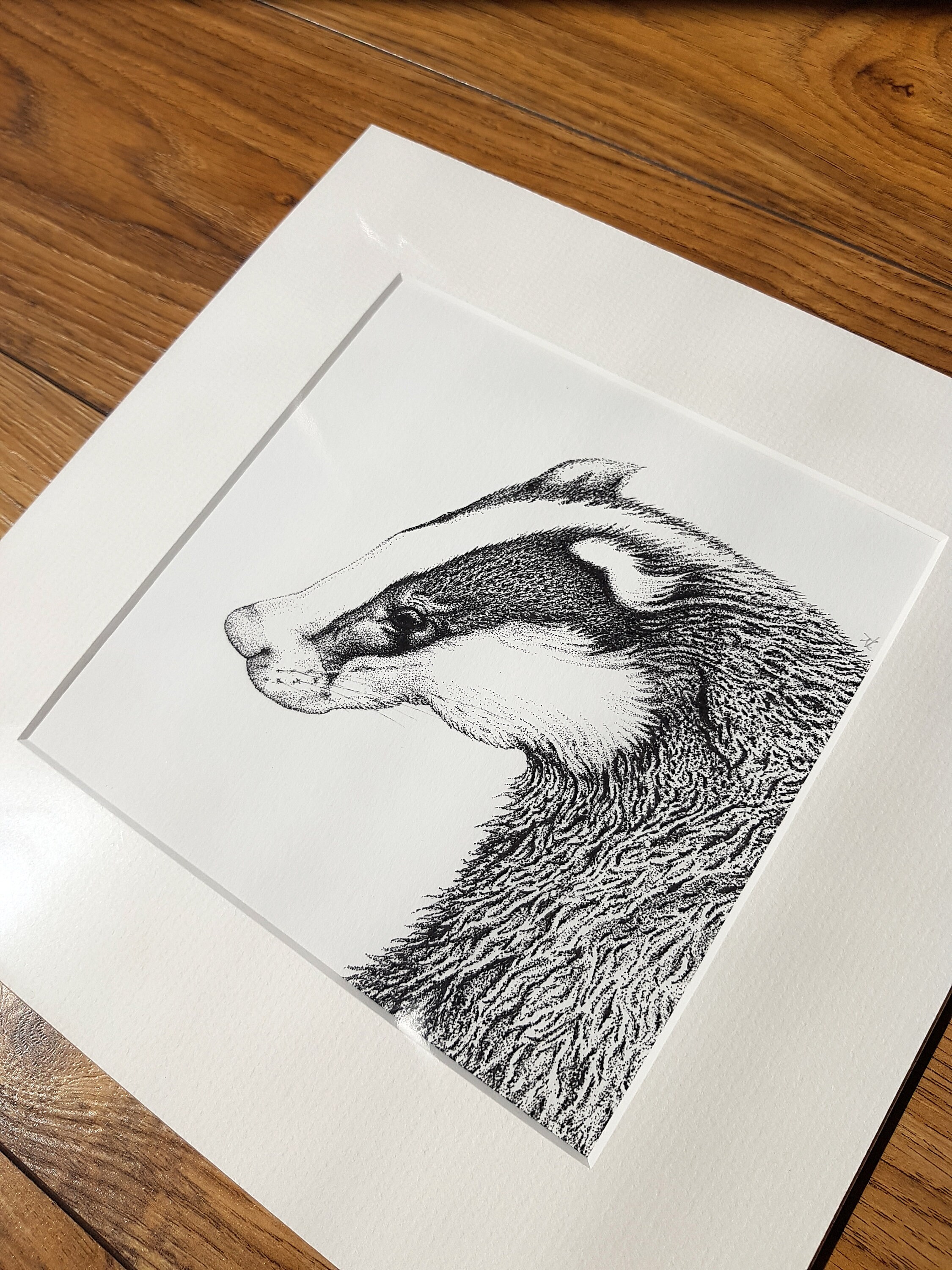 PRINT Badger Giclee Print Nature Art Animal Artist - Etsy