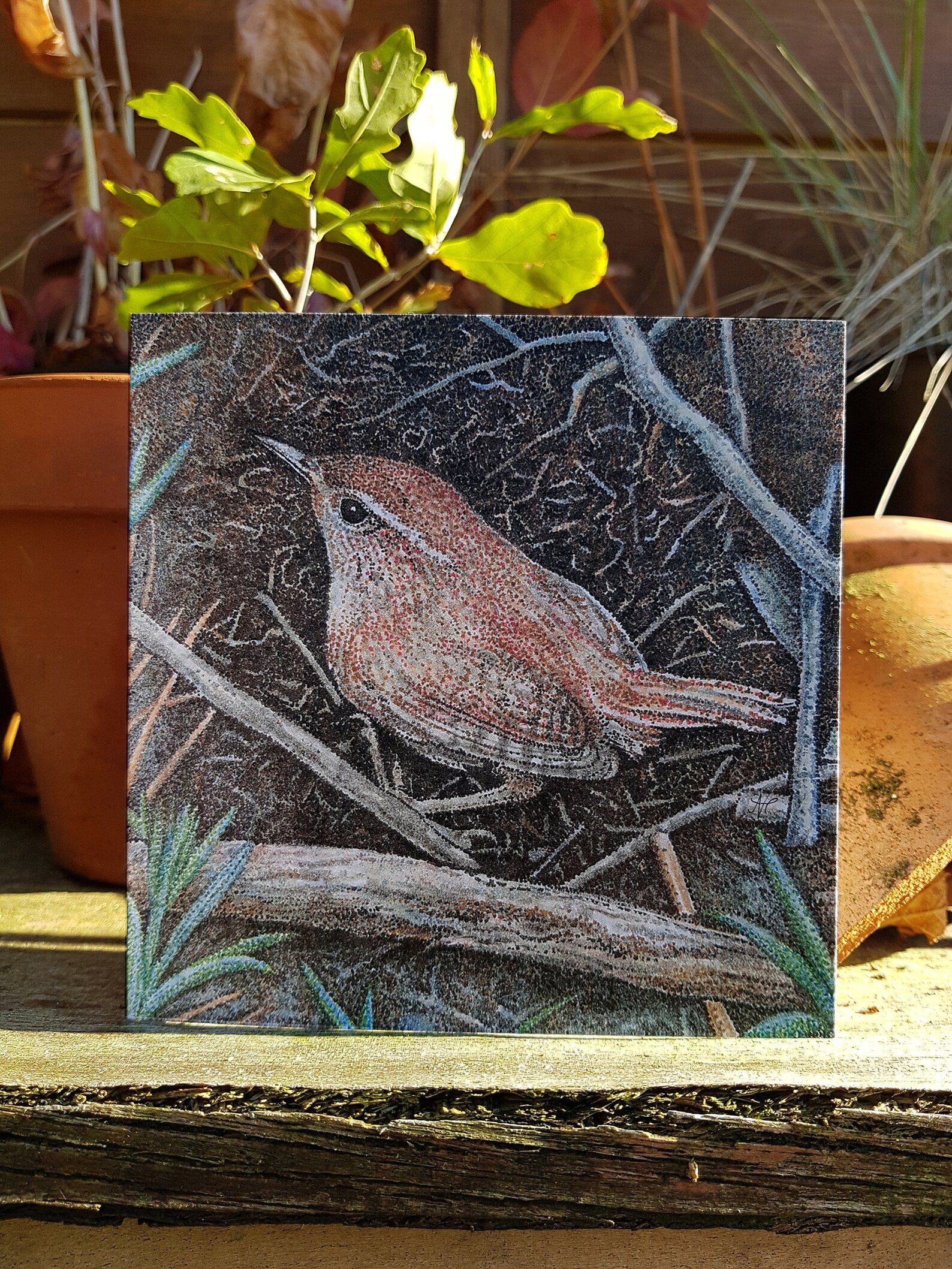 CARD Wayside Wren Cornish Artist Wildlife Art Bird Lover Nature Garden ...