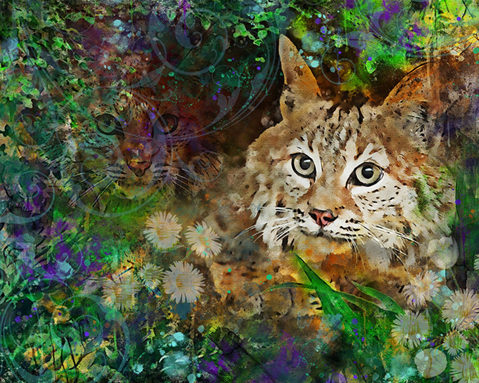 Bobcat Art Wildcat Watercolor Artwork Kewlona and Dryden - Etsy