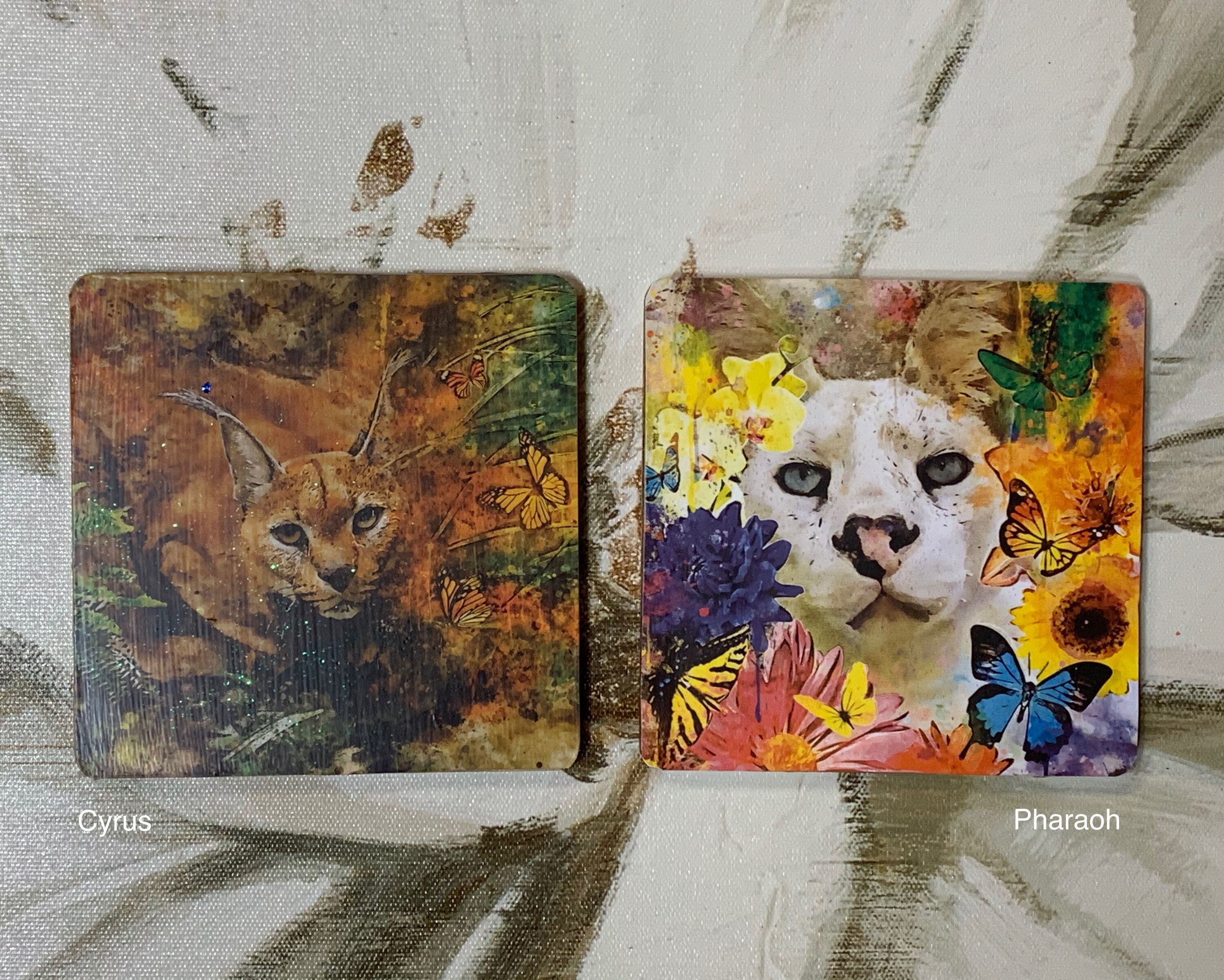 Cat Coasters Build Your Own Custom Big Cat Coaster Set | Etsy