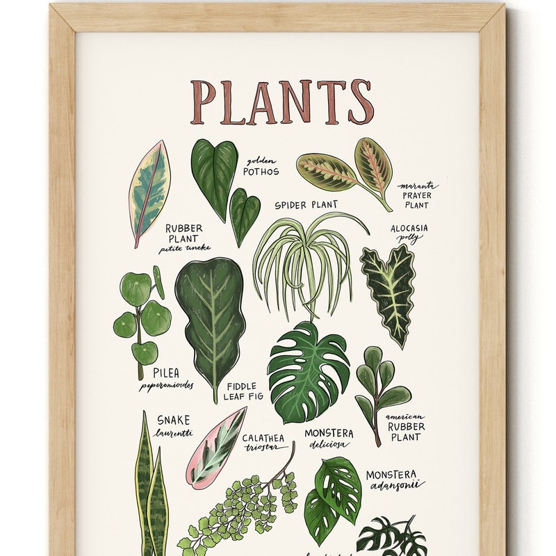 Plant Identification Poster - Etsy