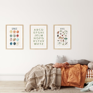 House Plant Identification Poster - Etsy