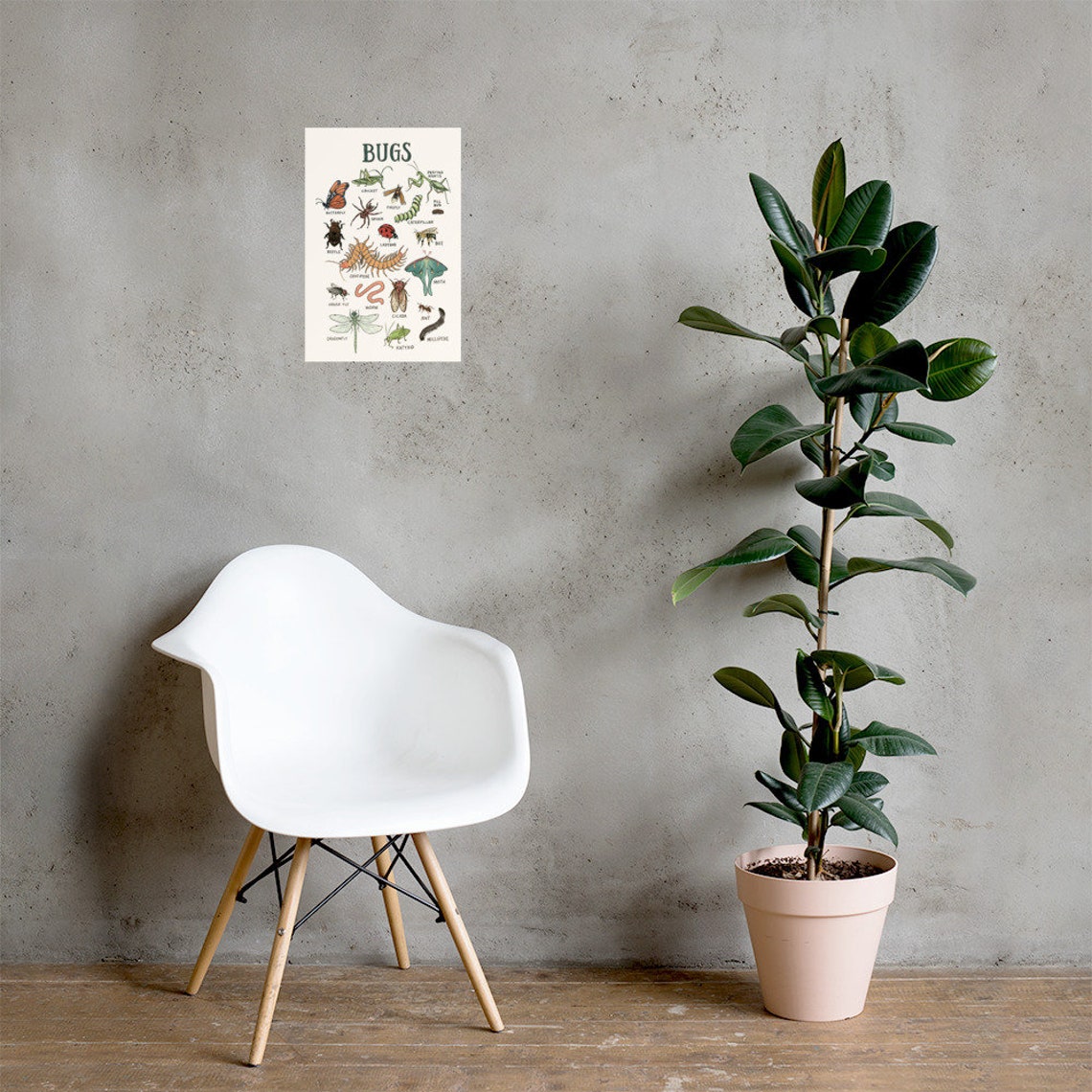 Bugs Identification Poster - Etsy