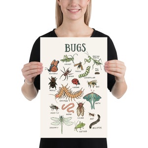 Bugs Identification Poster - Etsy