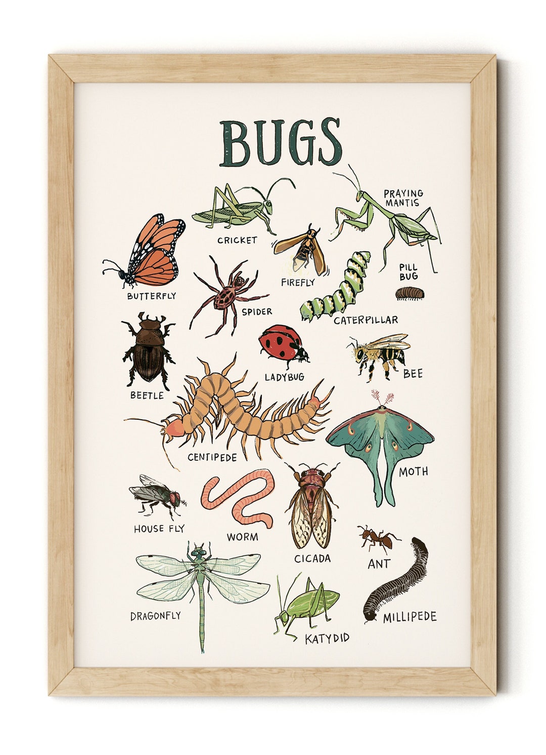 Bugs Identification Poster - Etsy
