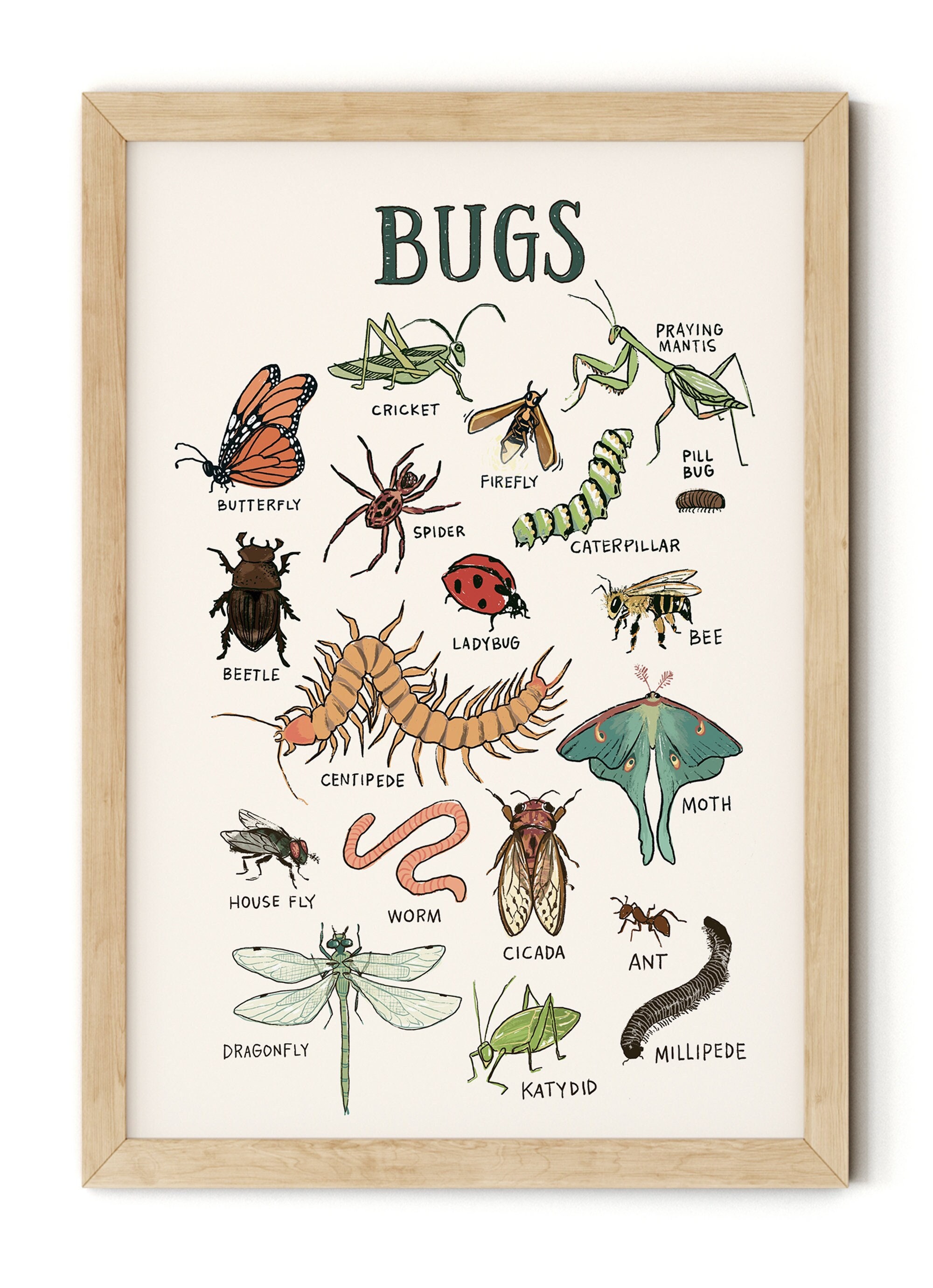 Bugs Identification Poster - Etsy
