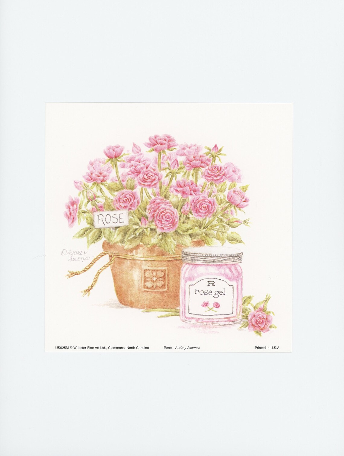 Pink Rose Art Print Aroma Care Bath Art Poster 6 X 6 Open Edition ...