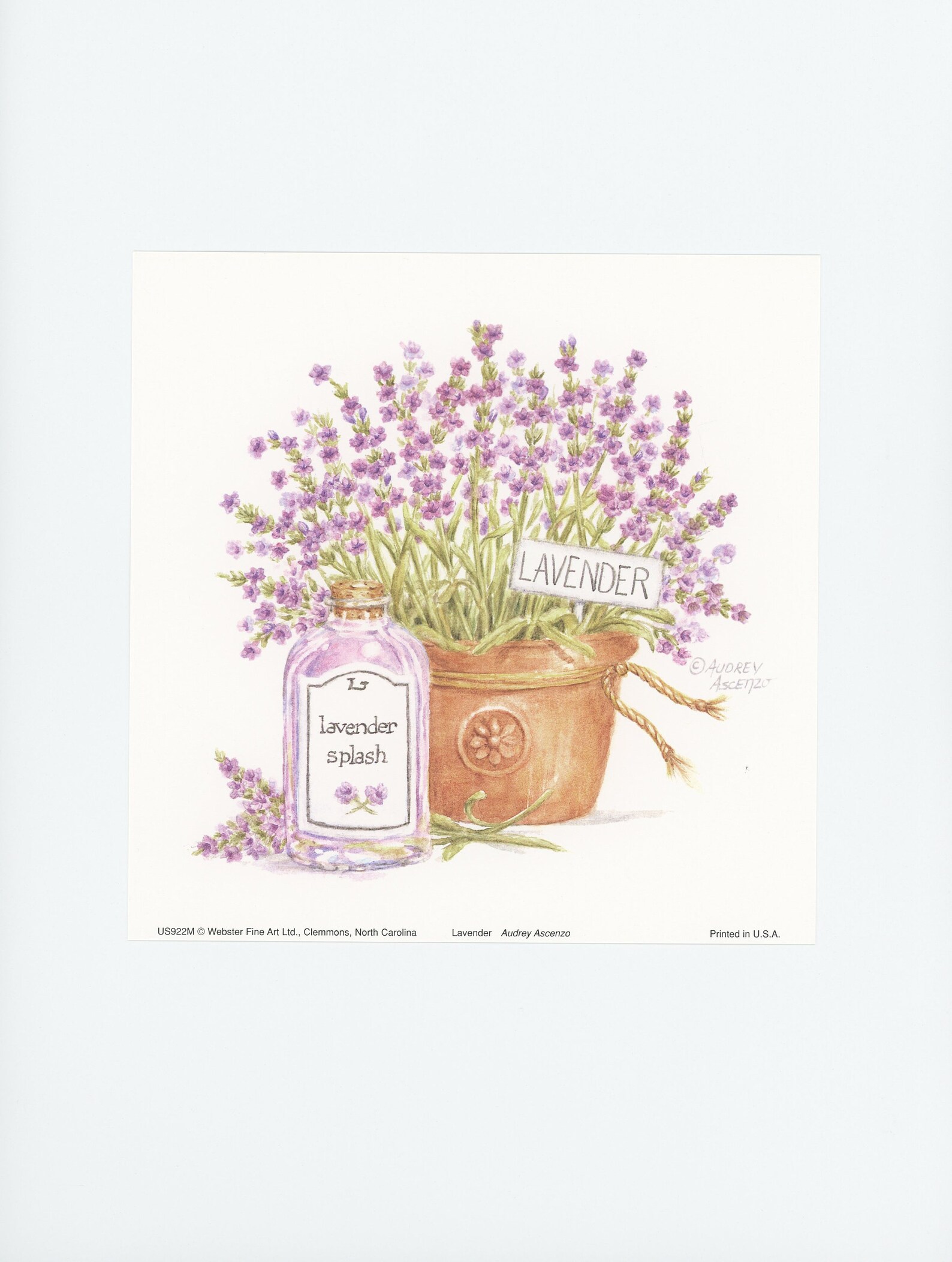 Pink Rose Art Print Aroma Care Bath Art Poster 6 X 6 Open Edition ...