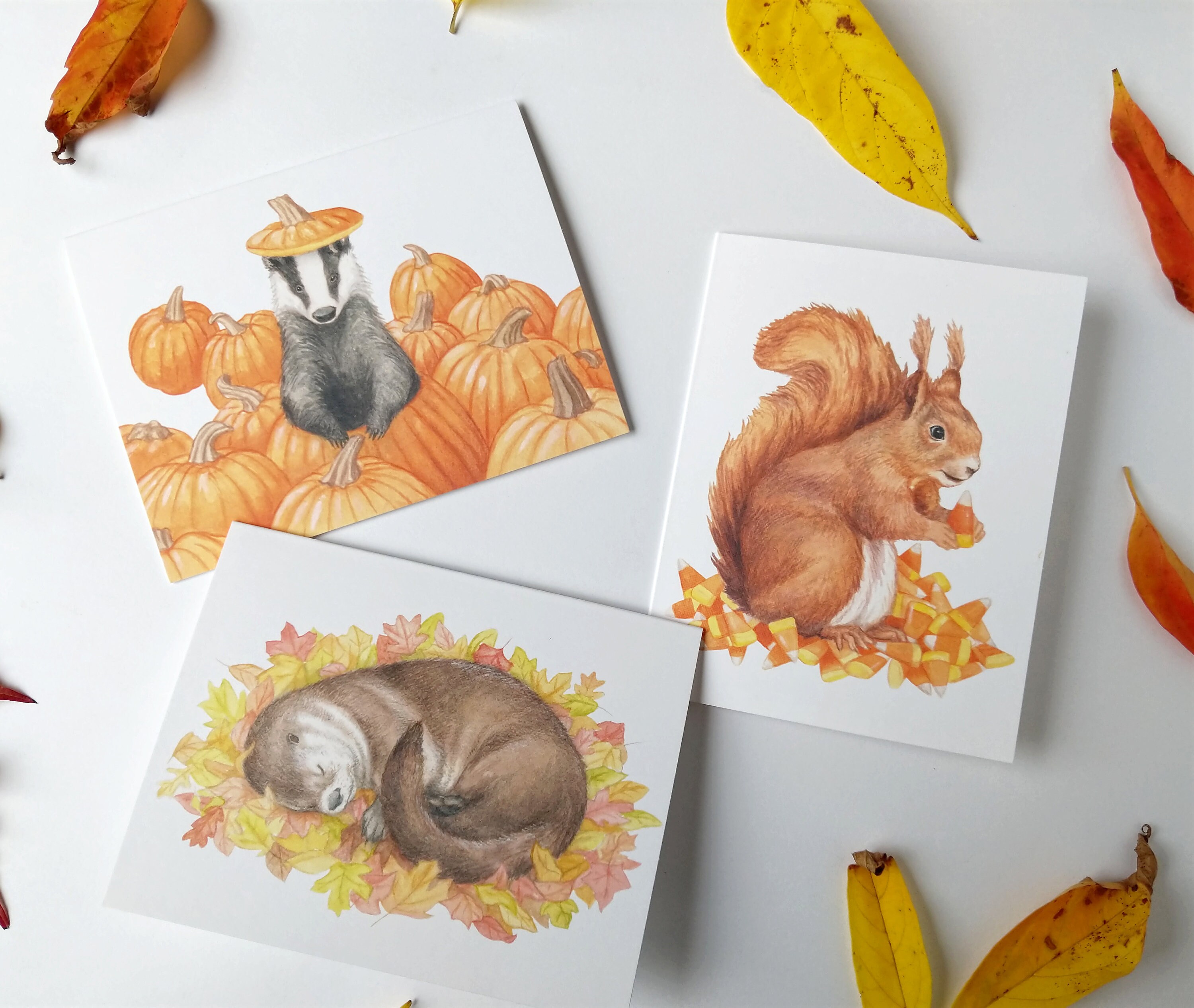 Fall themed Greeting Cards 4.25x5.5 Set of 3 with | Etsy