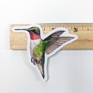 Hummingbird Vinyl Waterproof Die Cut Sticker 2.75 X 3 Inch - Etsy