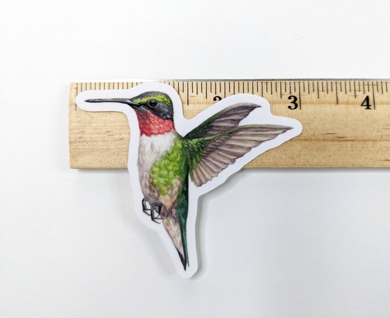 Hummingbird Vinyl Waterproof Die Cut Sticker 2.75 X 3 Inch - Etsy