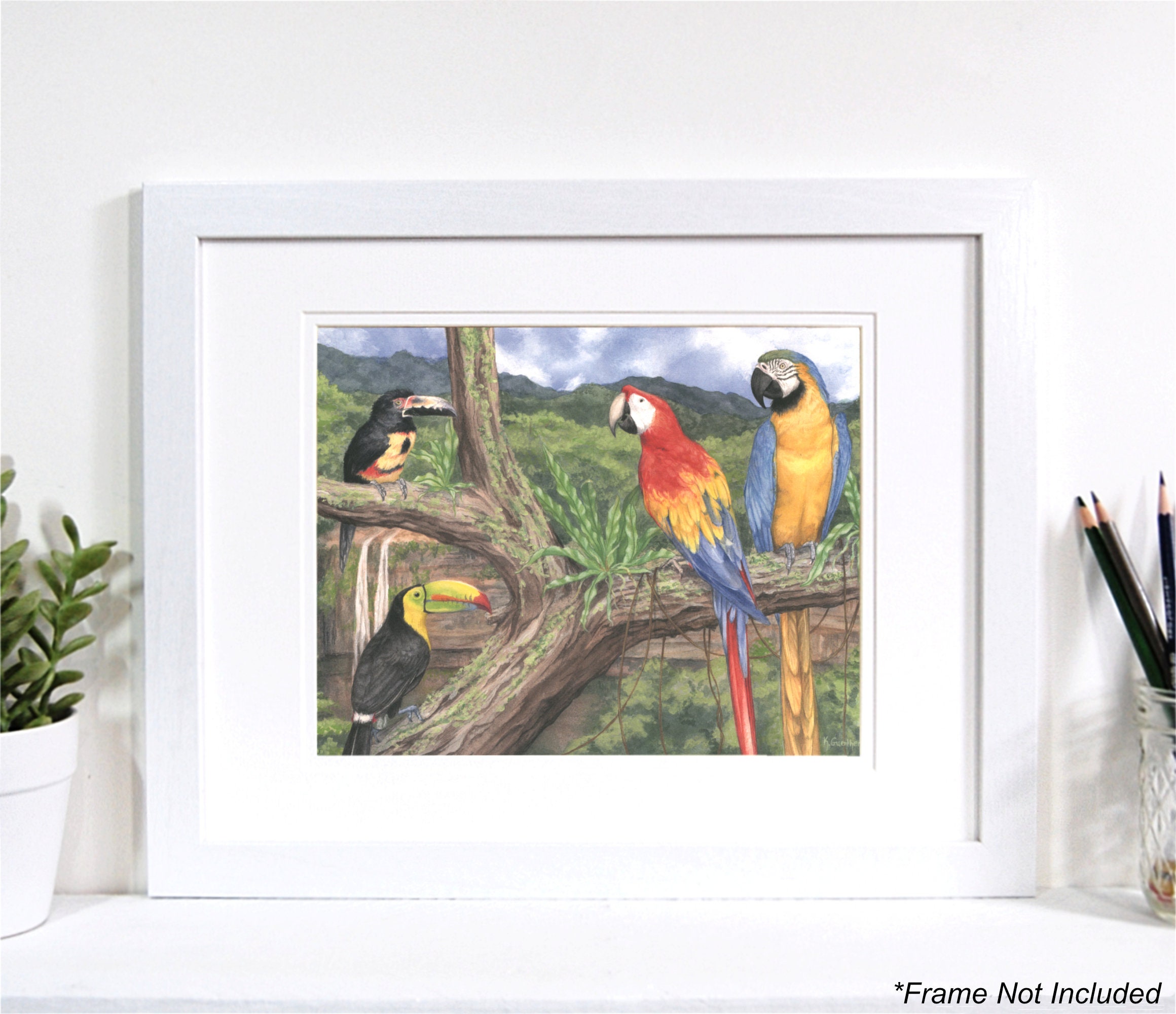Tropical Birds ART PRINT 8x10 Rainforest Wildlife - Etsy