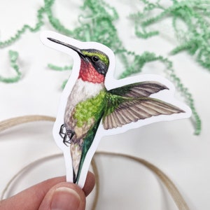 Hummingbird Vinyl Waterproof Die Cut Sticker 2.75 X 3 Inch - Etsy