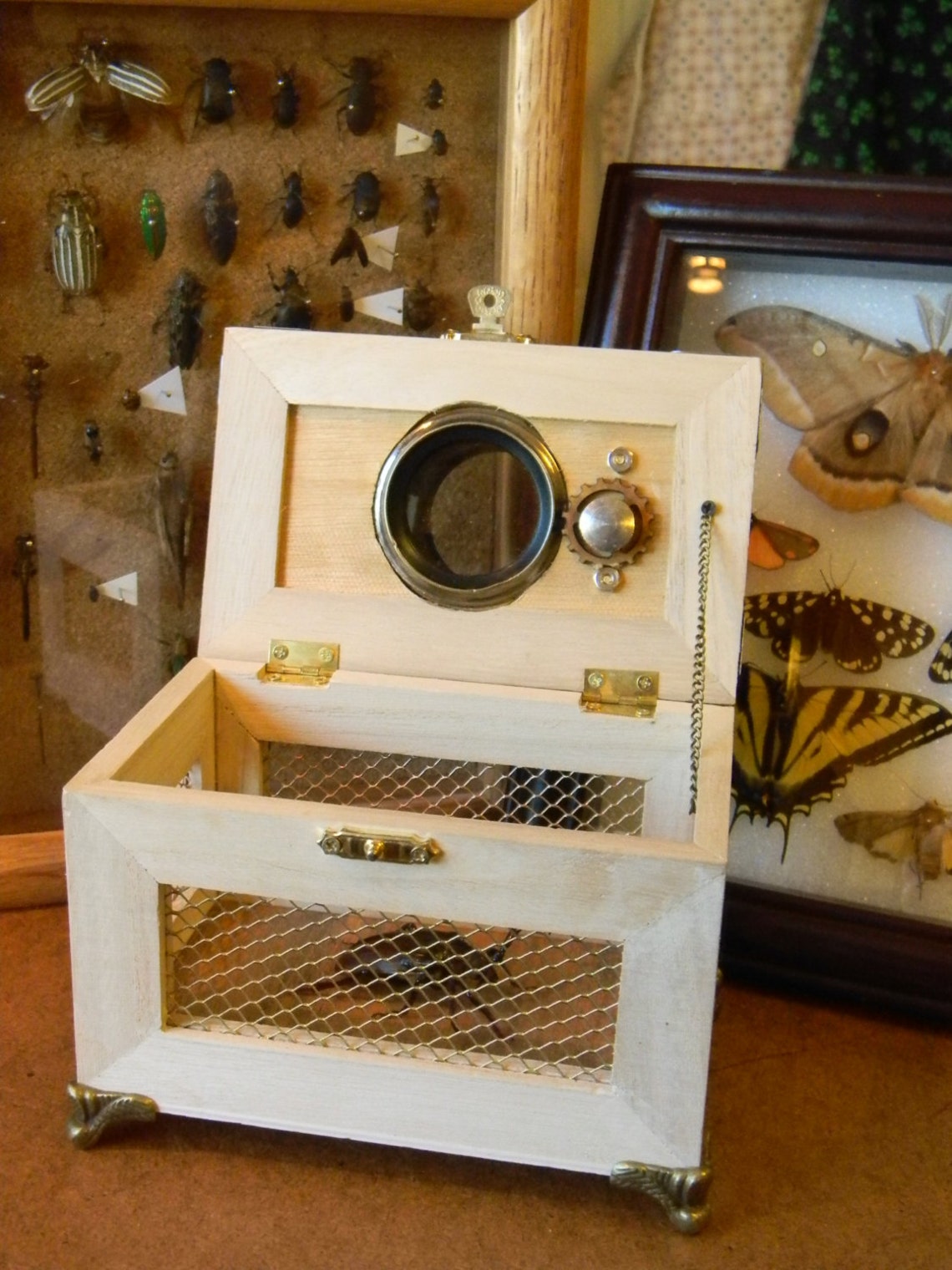 Clever Custom Victorian Steampunk Live Observation Box. Functional ...