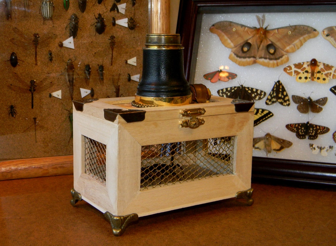 Clever Custom Victorian Steampunk Live Observation Box. Functional ...