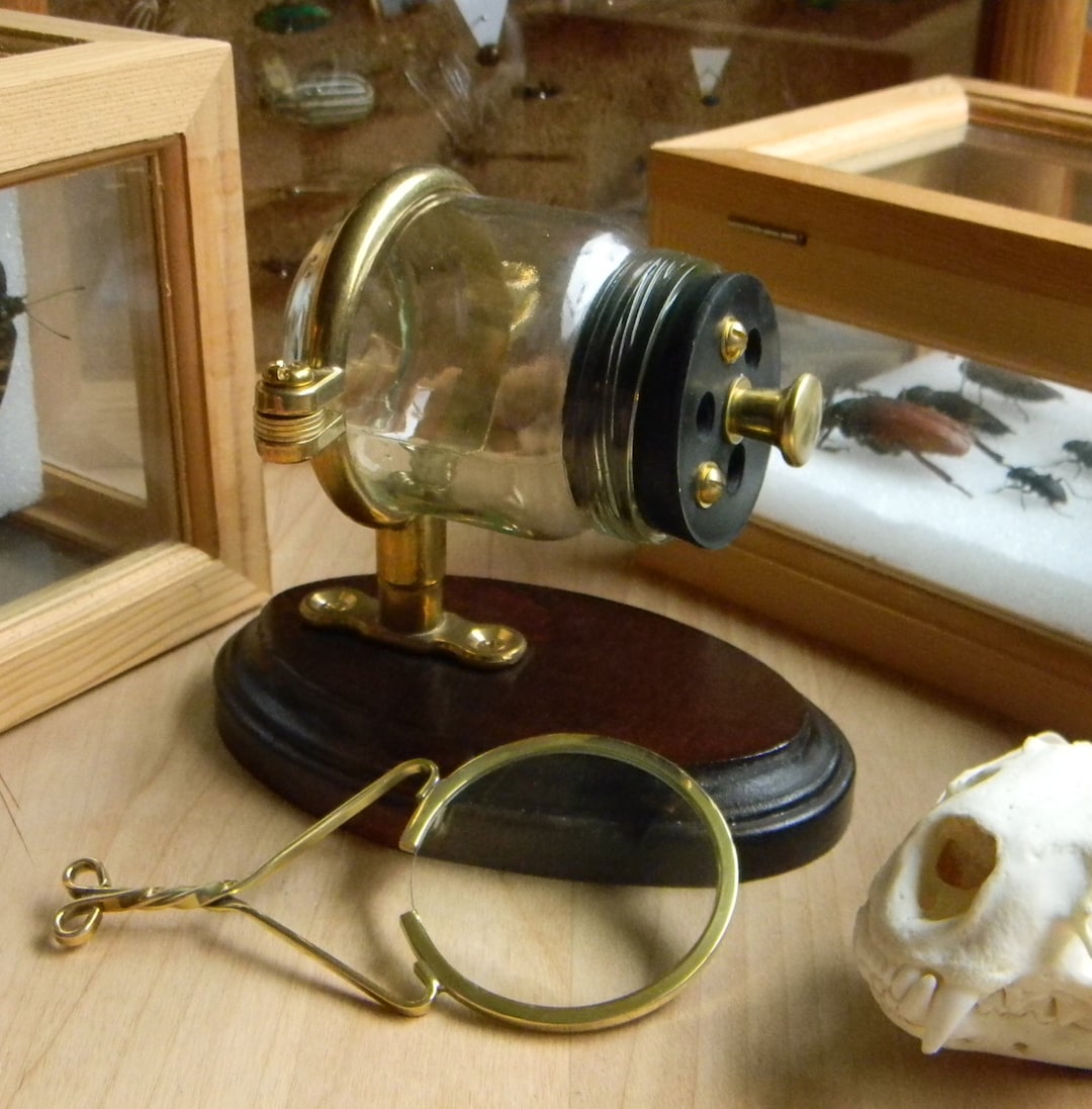 Cápsula de observación de especímenes vivos estilo steampunk victoriano ...