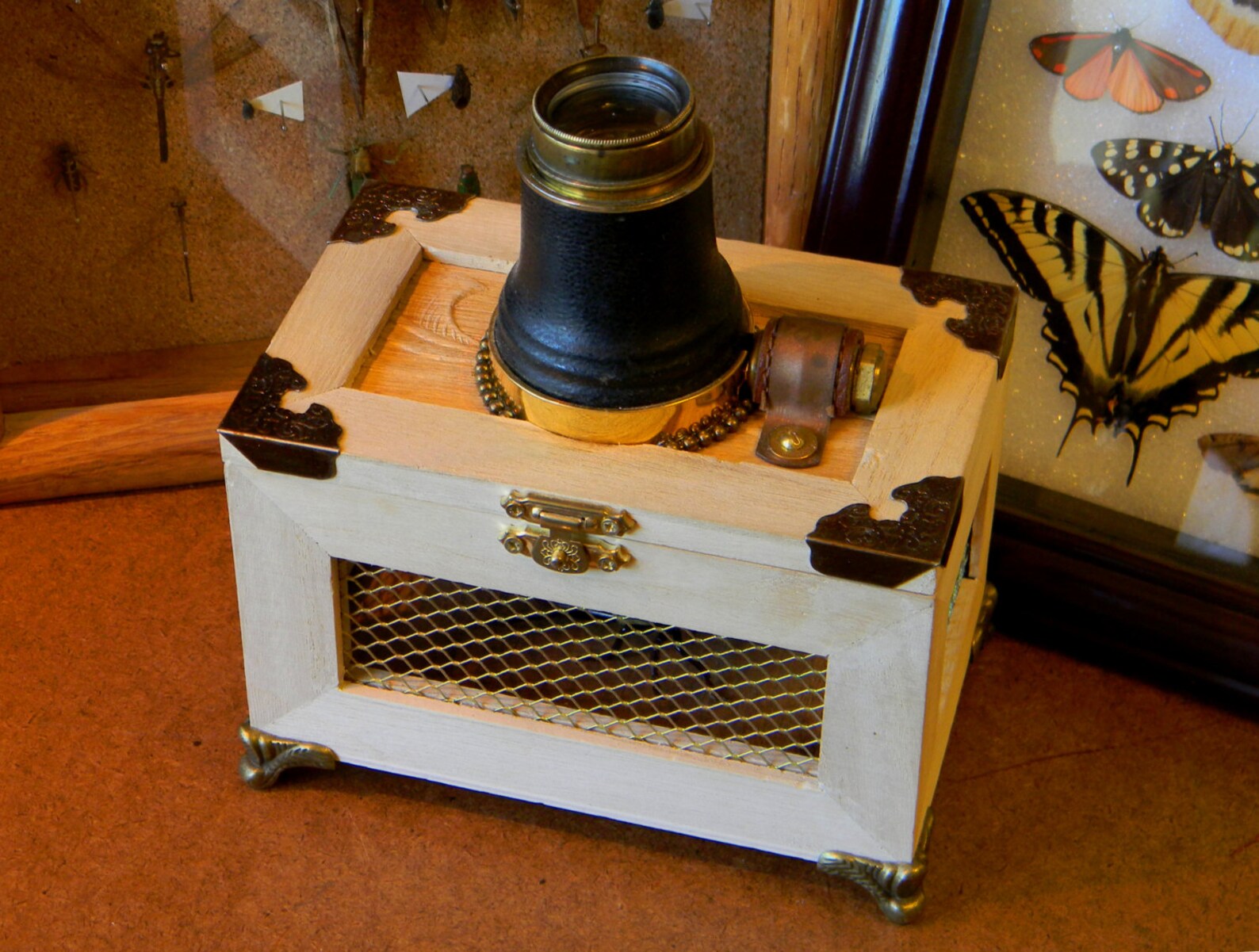 Clever Custom Victorian Steampunk Live Observation Box. Functional ...