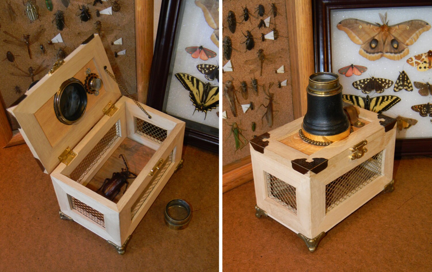 Clever Custom Victorian Steampunk Live Observation Box. Functional ...