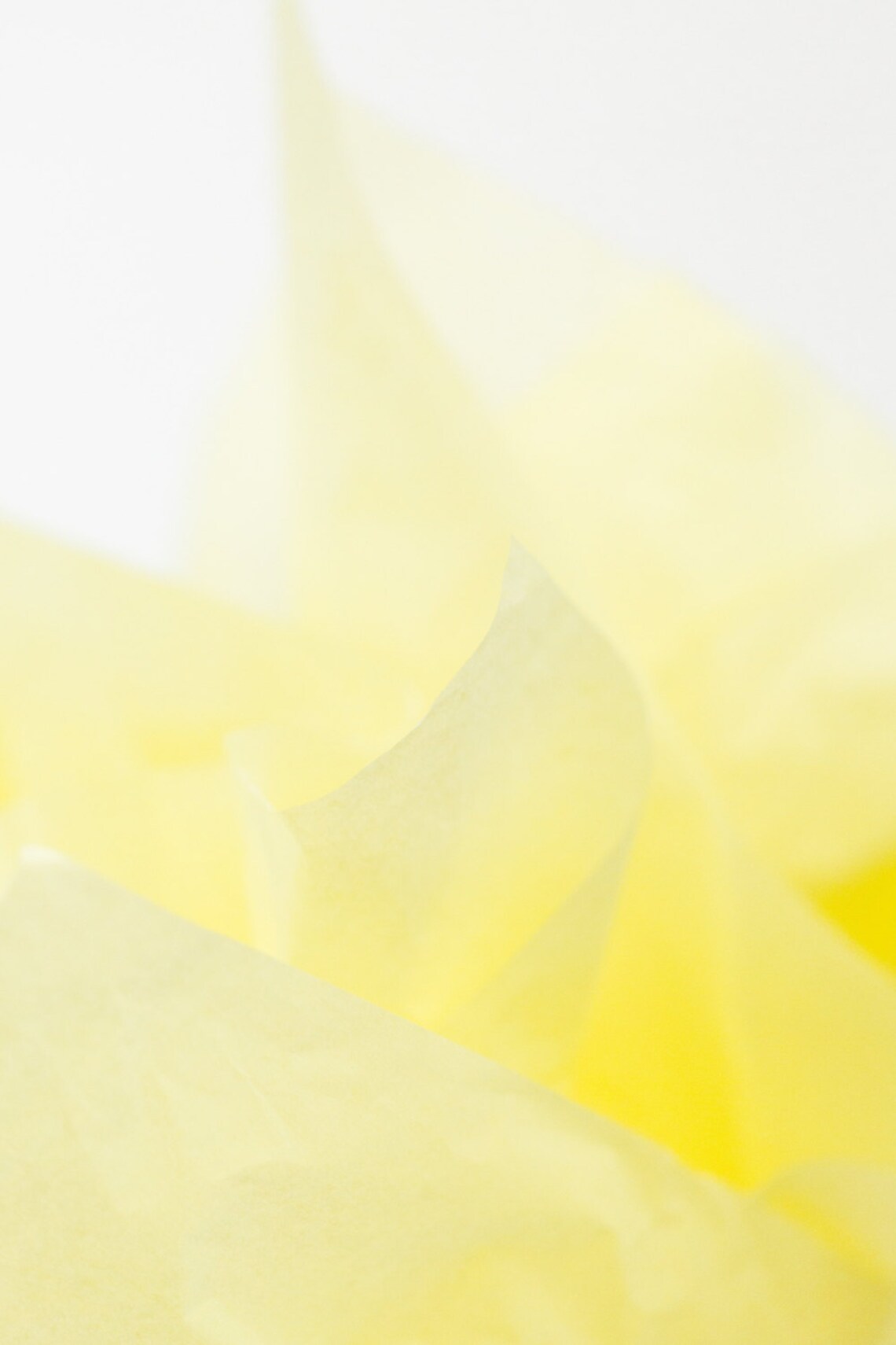 Light Yellow Tissue Paper Yellow Tissue Paper 24 Sheets | Etsy