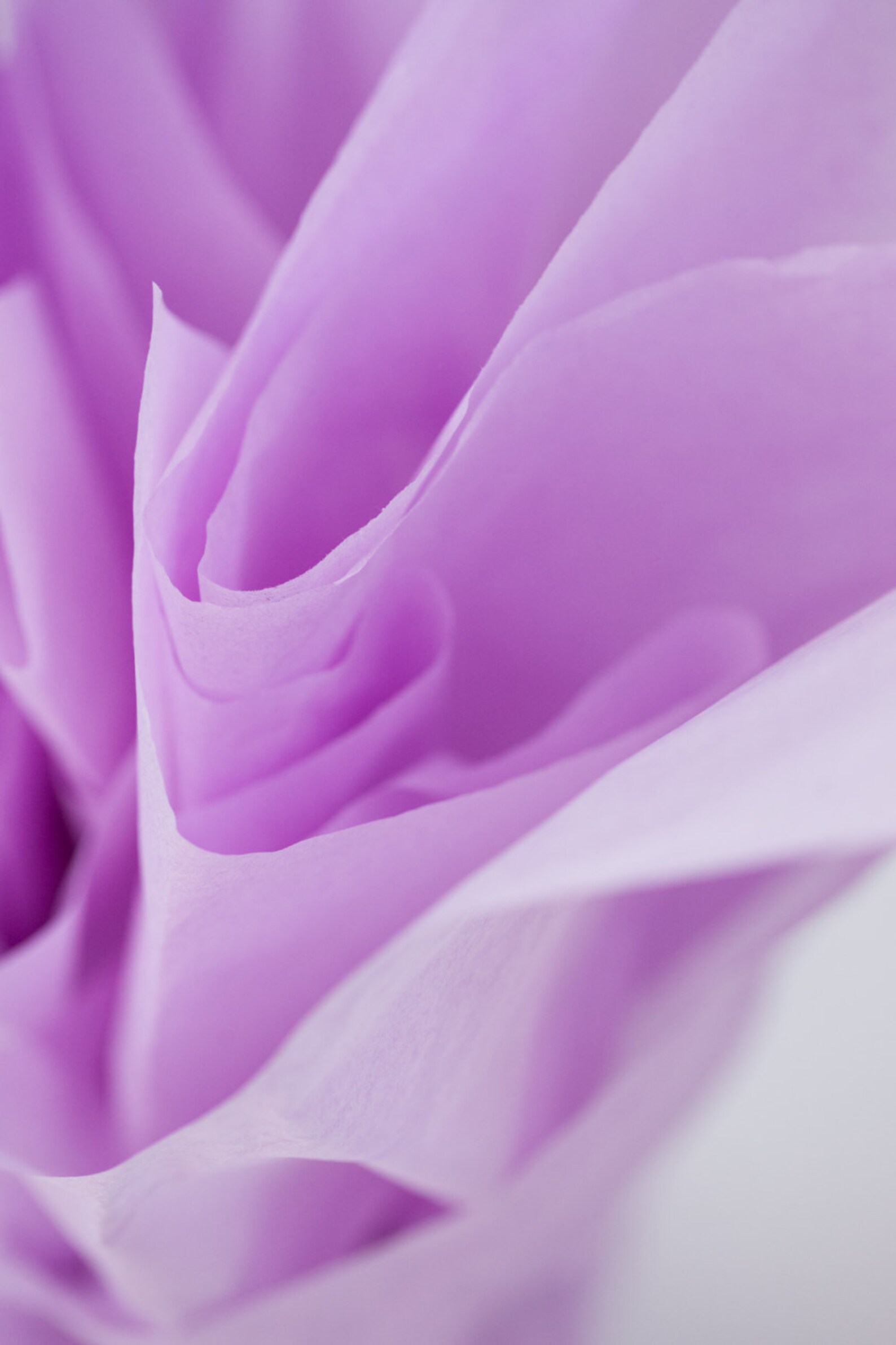 Lavender Tissue Paper 24 Sheets Bulk Light Purple Tissue - Etsy