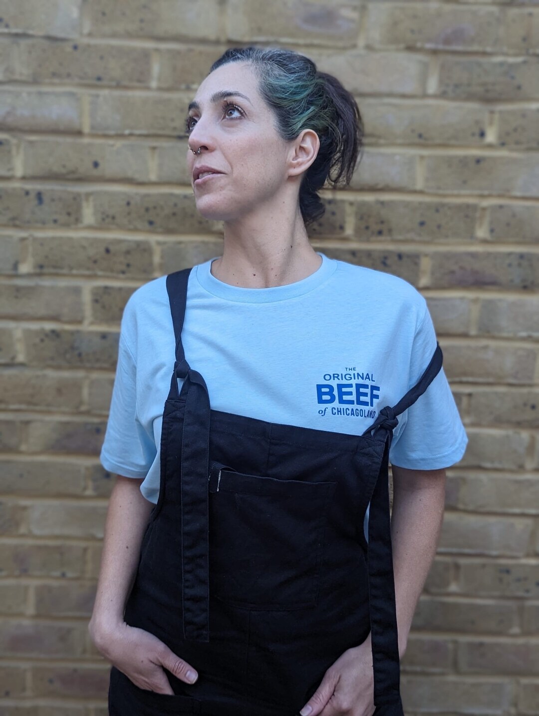 The Original Beef of Chicagoland Slogan Unisex/ Men's Tshirt. High ...