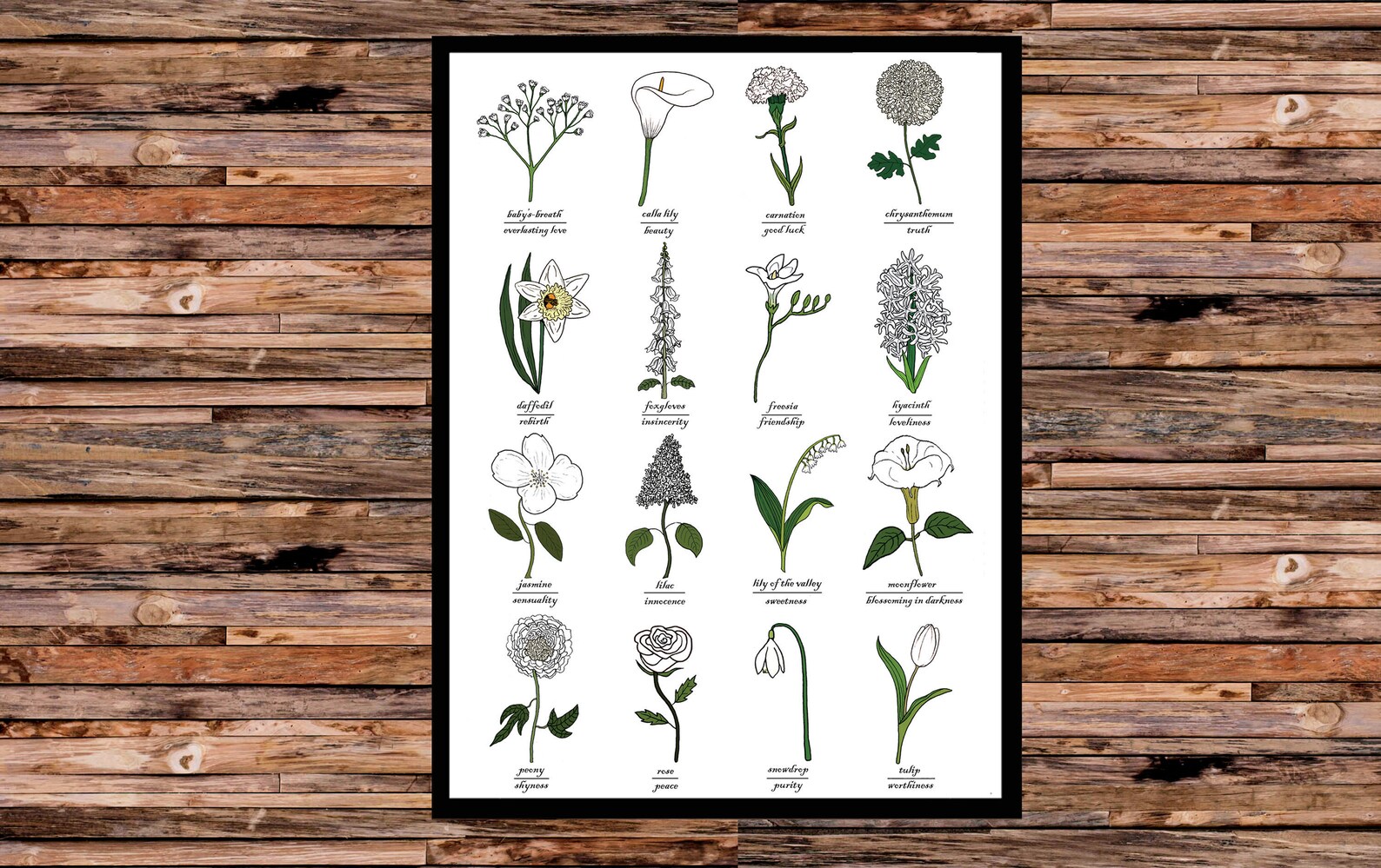 White Flowers Print - Identification Chart - Symbolism - Wall Art Chart ...