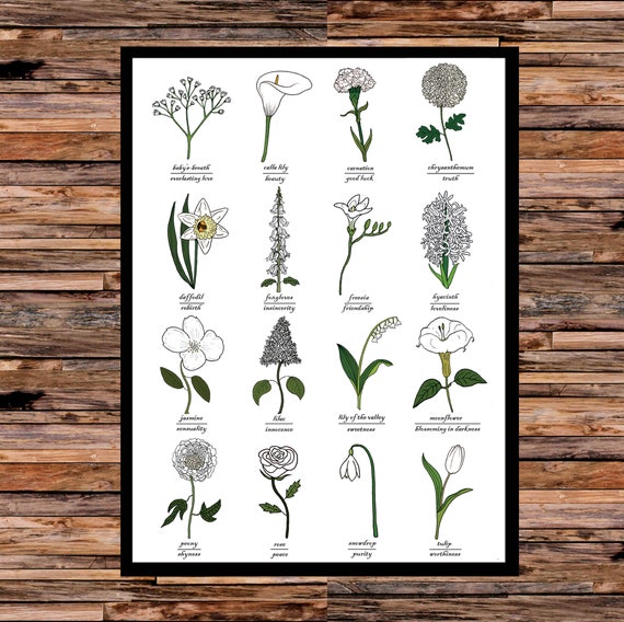 White Flower Identification Chart Plant Identification Archives