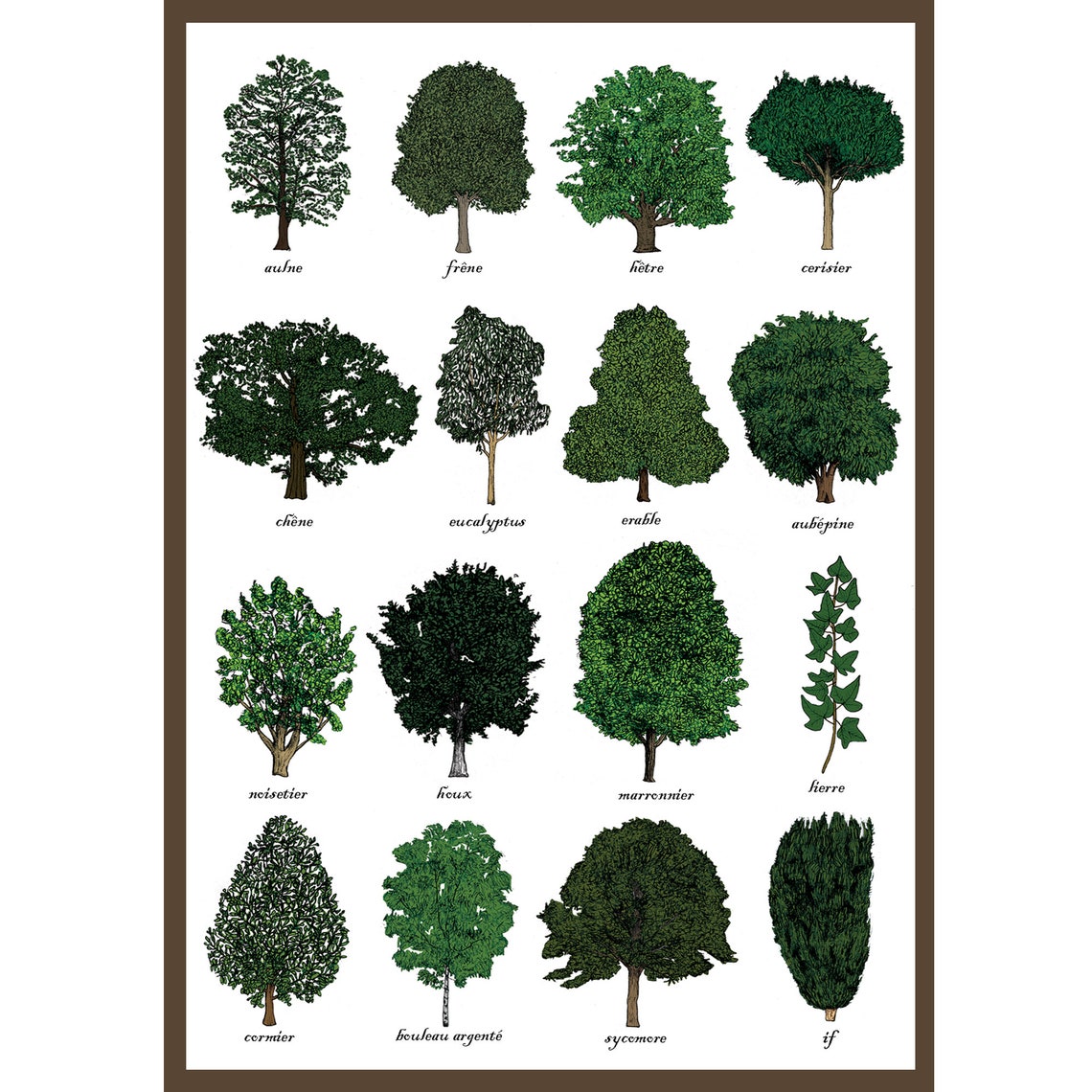 Trees Greetings Card - Tree Identification Chart - Dendrology - Study ...