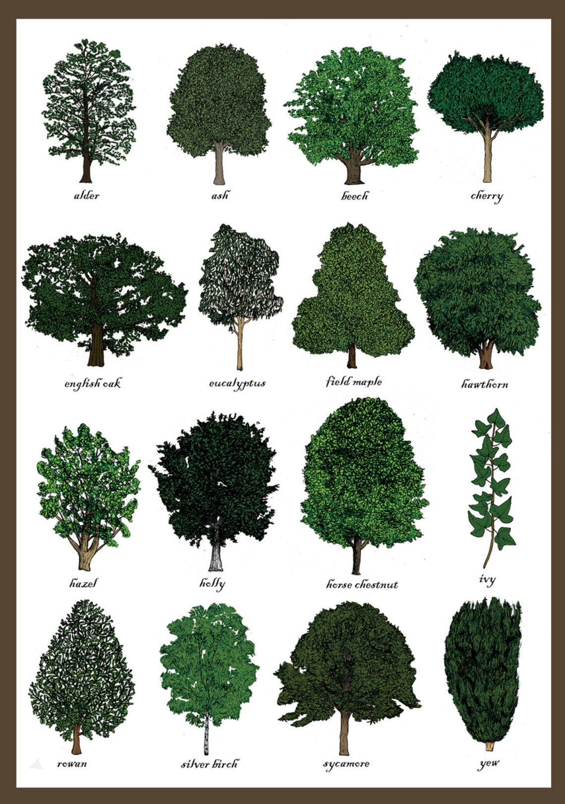 Trees Greetings Card - Tree Identification Chart, Gardening Art - New ...