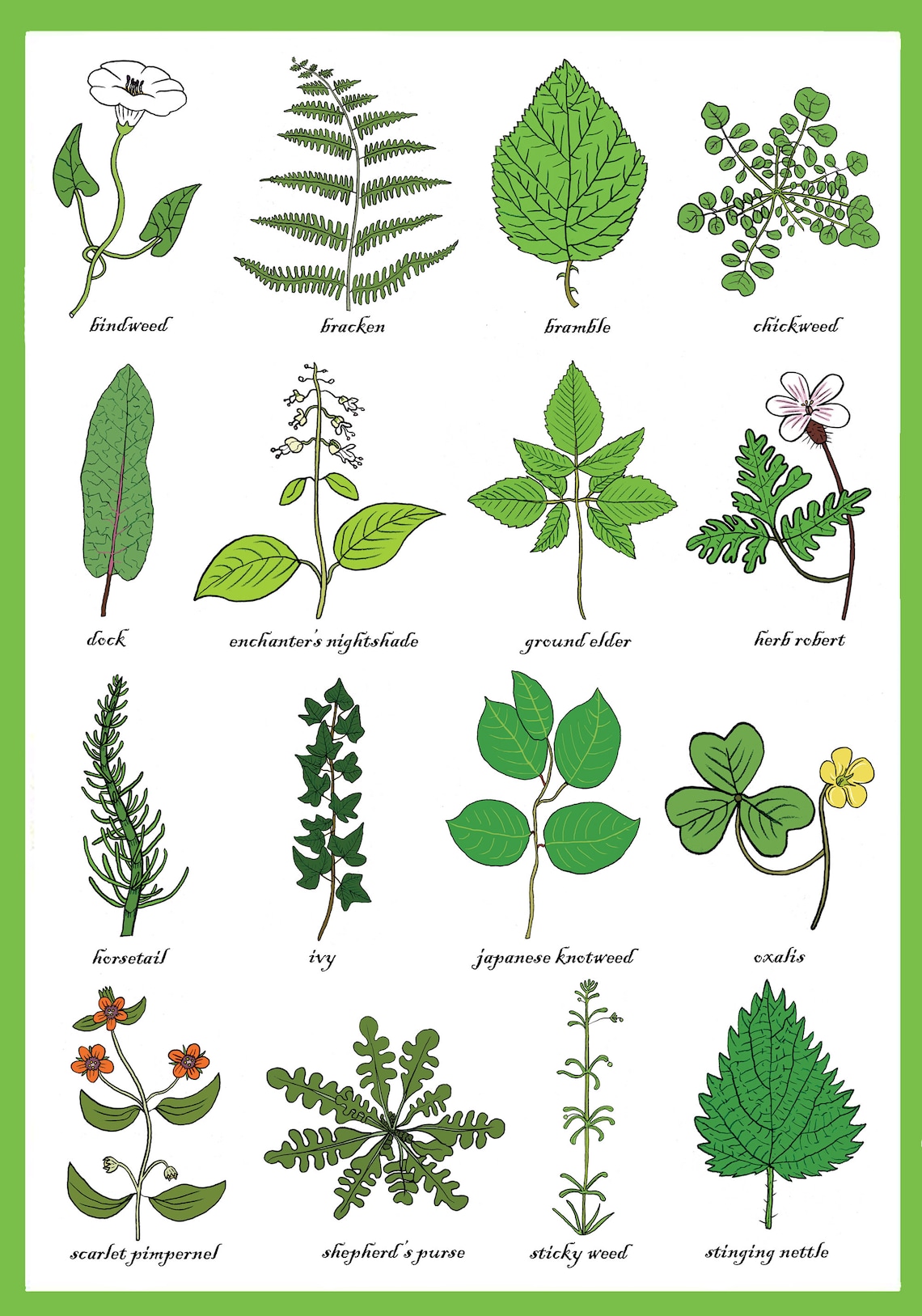 Weeds Greetings Card - Weed Identification Chart - Horticulture - Study ...