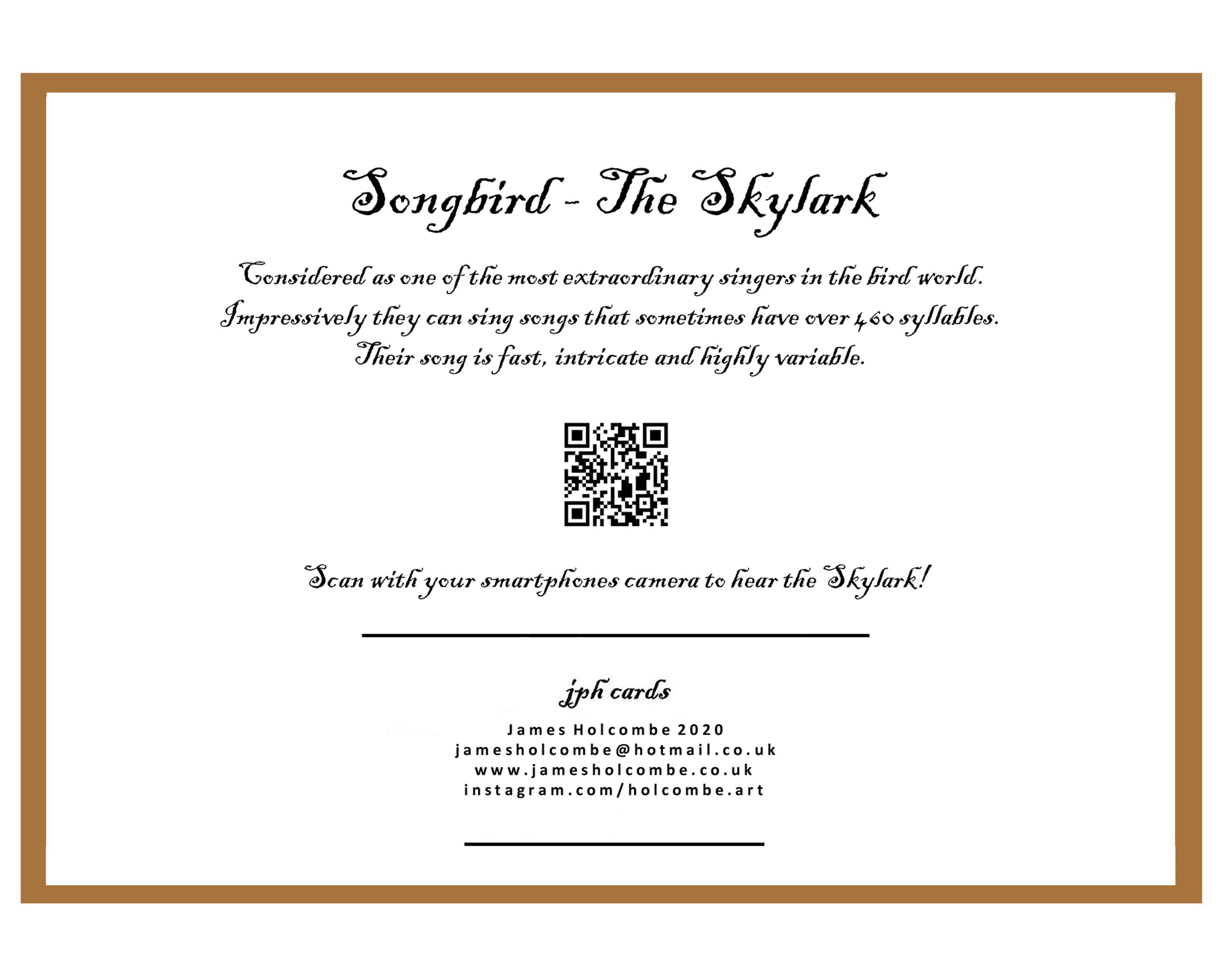 Interactive Skylark Songbird Greetings Card - Garden Bird Card ...