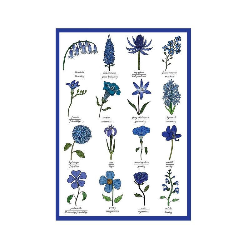 The Language of Blue Flowers - Identification Chart - Symbolism ...