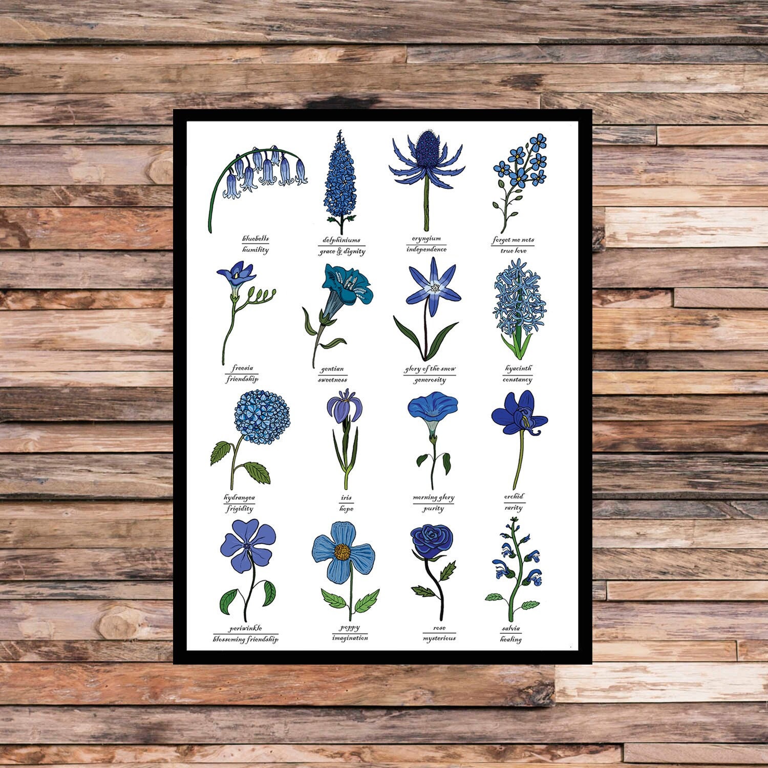 Blue Flowers Print - Identification Chart - Symbolism - Wall Art Chart ...